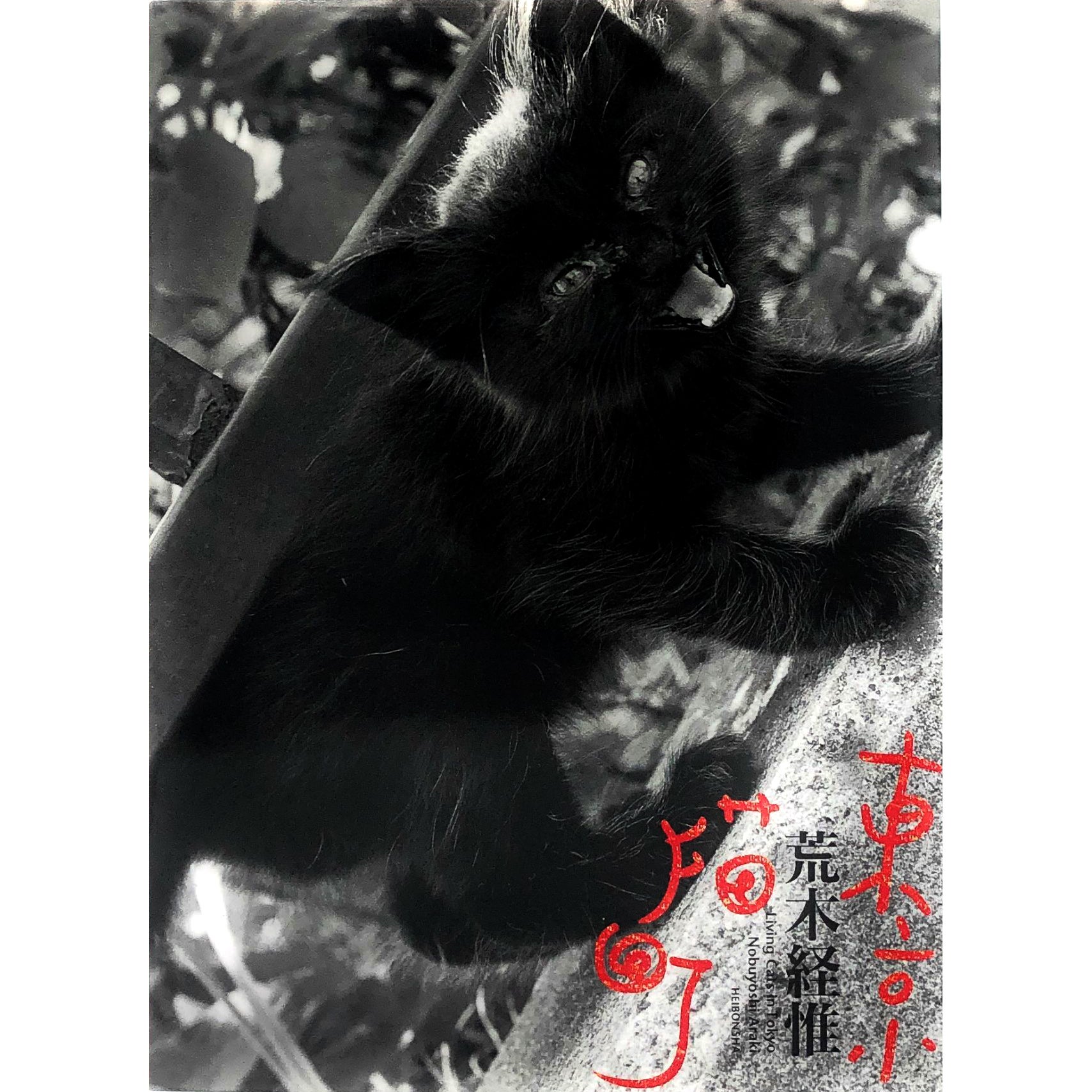 Nobuyoshi Araki: Living Cats in Tokyo | HI BOOKS