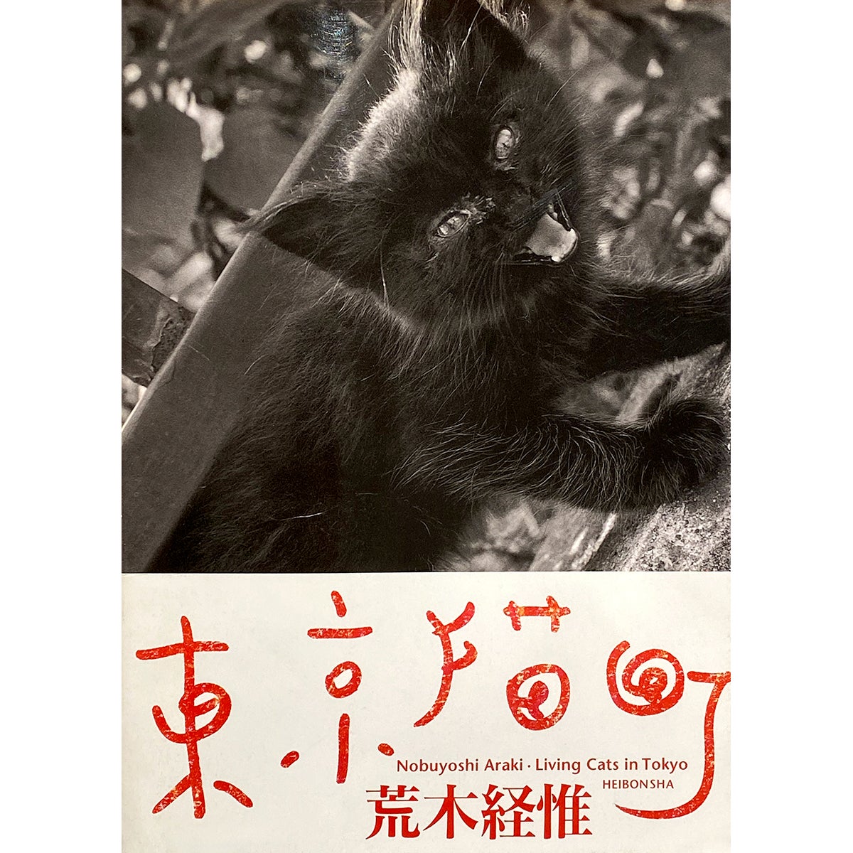 Nobuyoshi Araki: Living Cats in Tokyo (Obi) | HI BOOKS